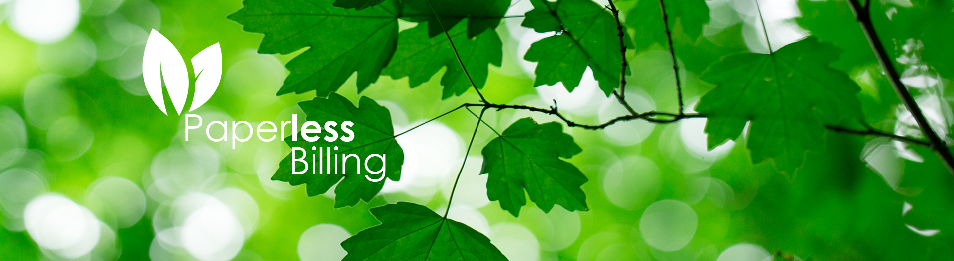 Paperless Billing - Citynet